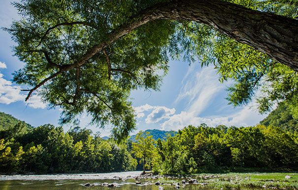 Unicoi County, Tennessee, Economic and Community Development
